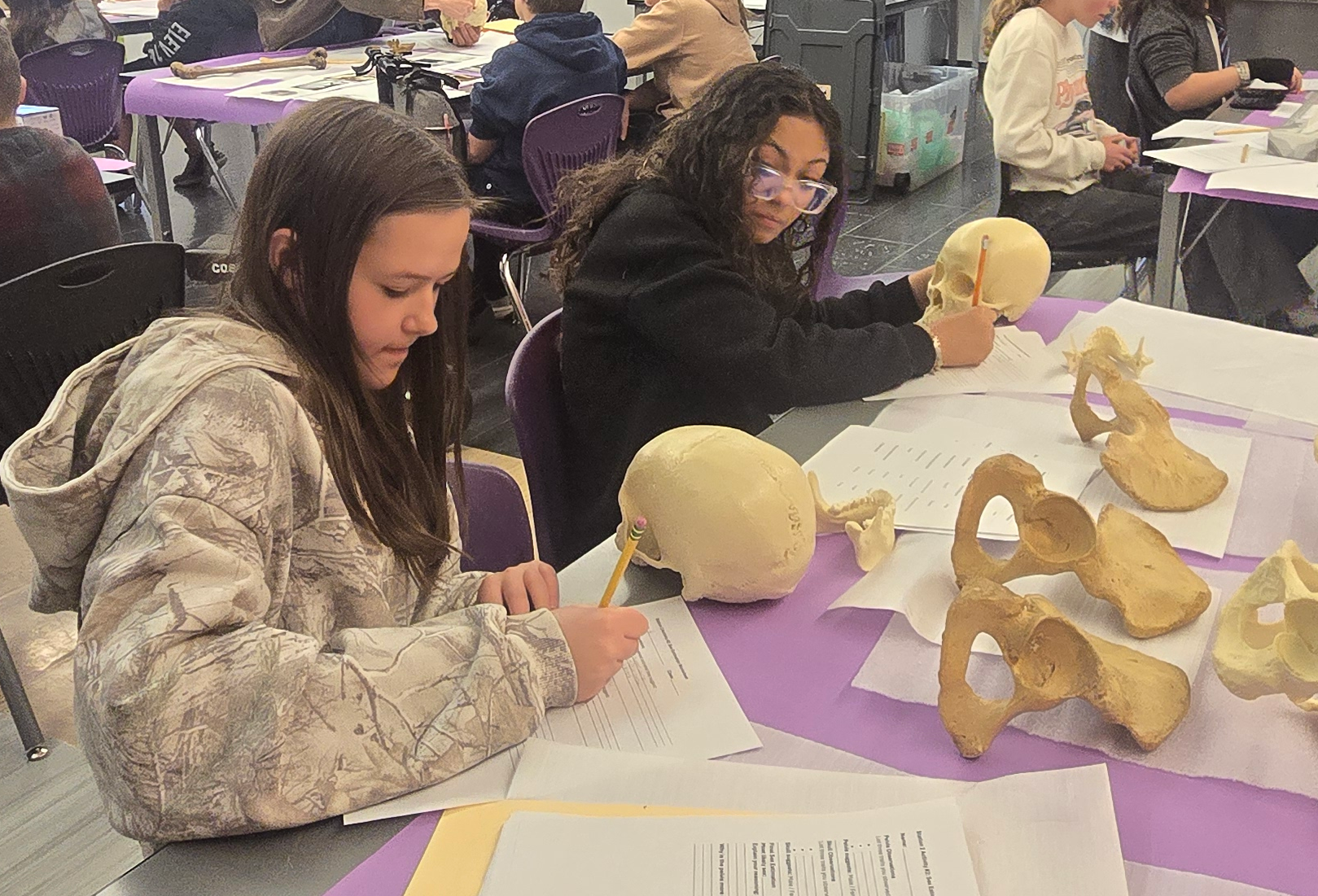 UCCS anthropology students inspire future investigators – UCCS News